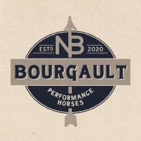 Bourgault Performance Horses – Breeding, training, lessons, and sales ...